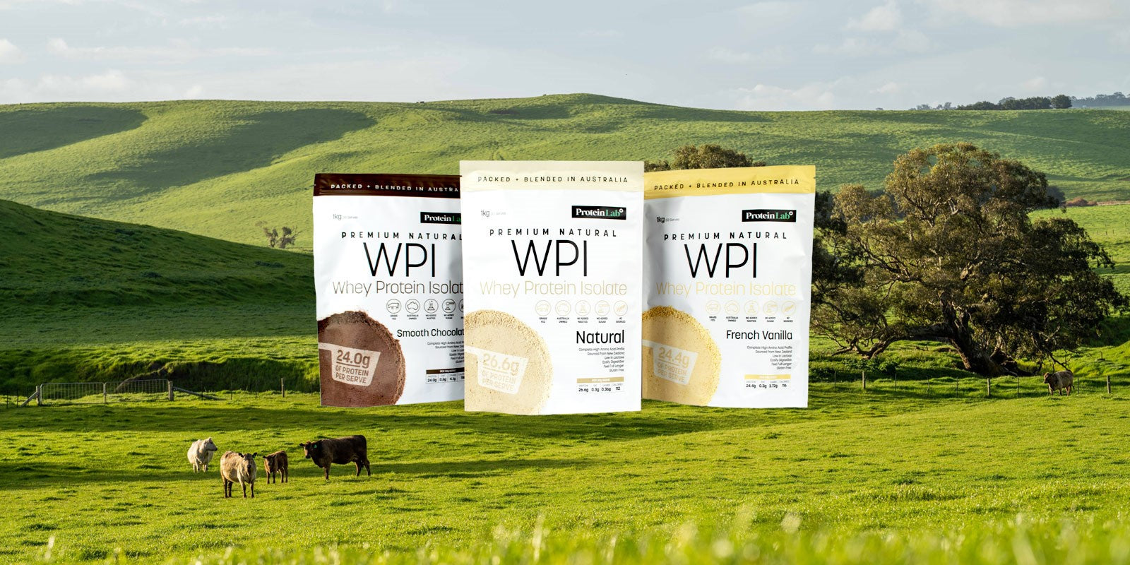 Proteinlab