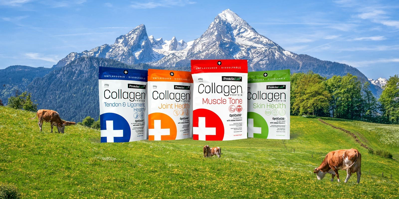 Proteinlab